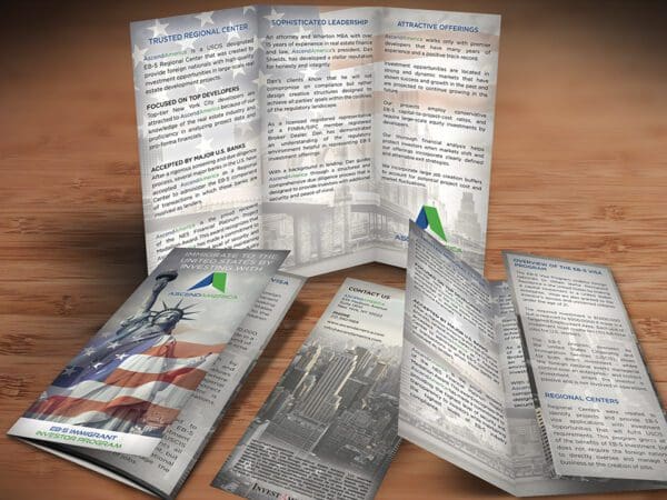 Immigration Assistance Brochure | Bracha Designs