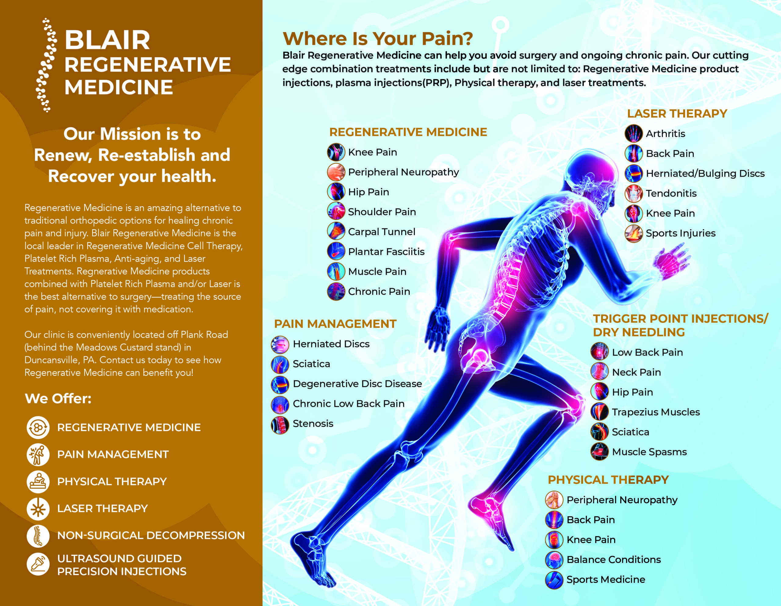 Regenerative Medicine Brochure Design | Bracha Designs